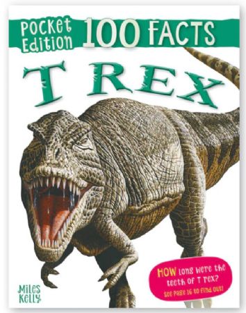 Wrapped gifts for ages 9 and above from Wrapped Gr